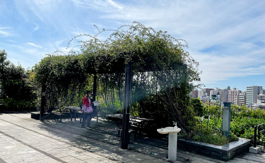 207 | 公園探訪：公園で遊ぼう